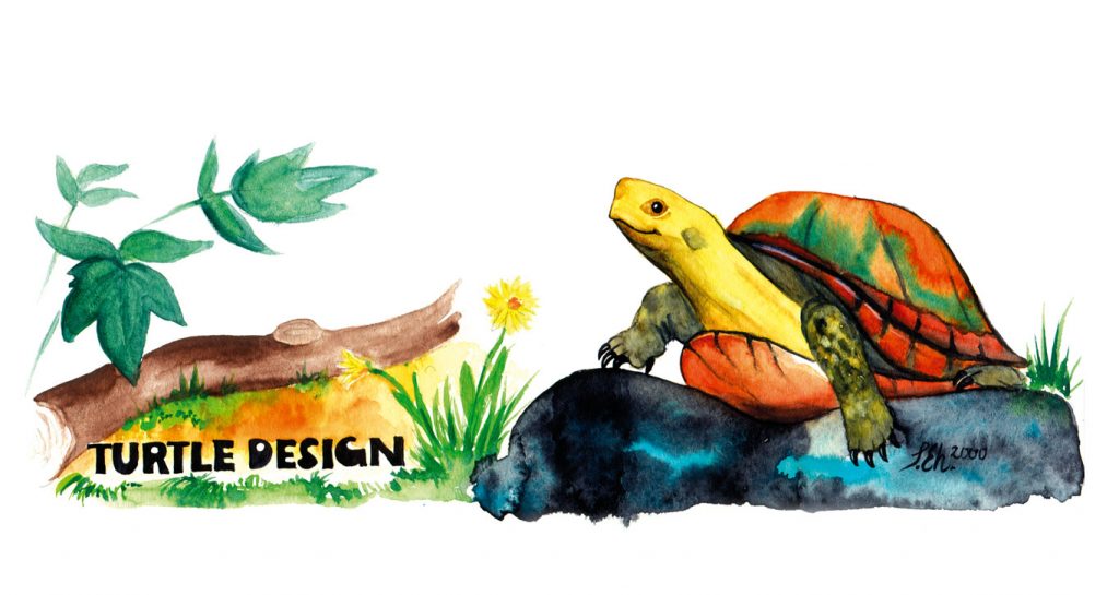 Turtle Design – Brand-Design, Grafik-Design, Illustration